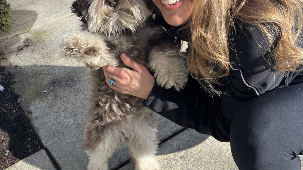 About Us - Barks and Recreation | Southeastern CT