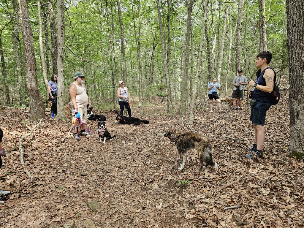 Explore Southeastern CT with your Dog: Join Our Monthly Community Hikes ...